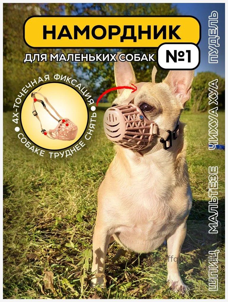Намордник