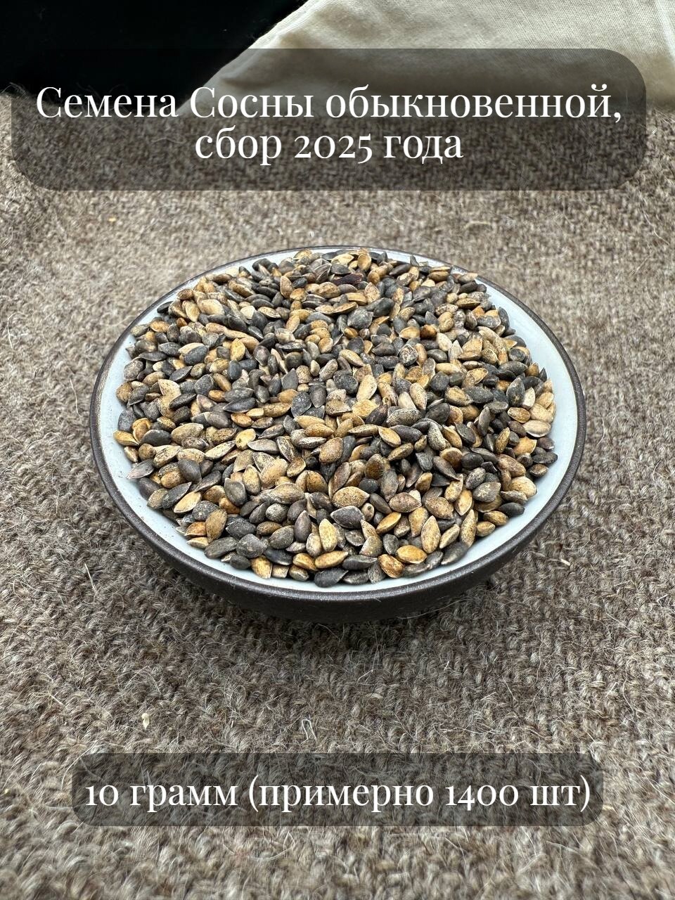 Семена Сосны обыкновенной, 10 грамм (примерно 1400 шт)