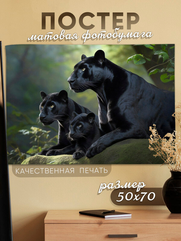 Постер Пантера (12) 50х70