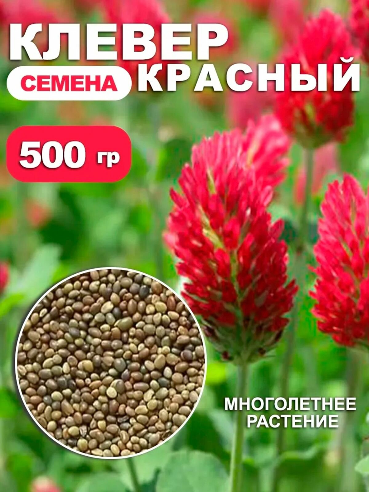 Семена сидерат клевер красный луговой, газонная трава 500 грамм