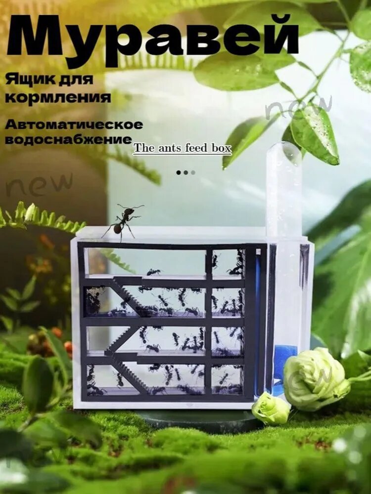 Муравьиная ферма с декорациями и аксессуарами 10*10*7cm - Белый цвет для разведения муравьев