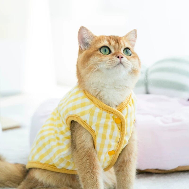 Одежда для кошек, зимний милый хлопковый жилет, синий теплый утолщенный жилет без рукавов для кошек британской