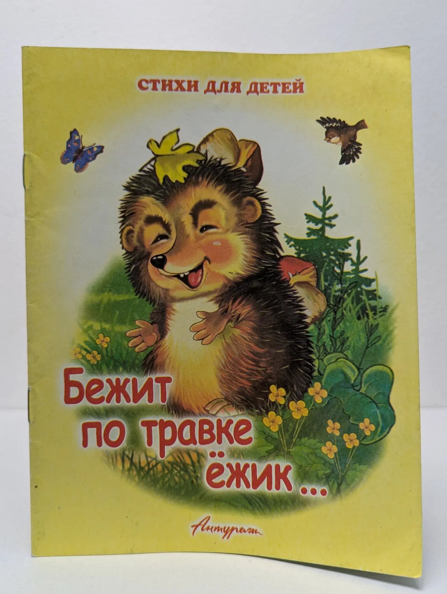 Стихи для детей. Бежит по травке ёжик. Сборник 2010