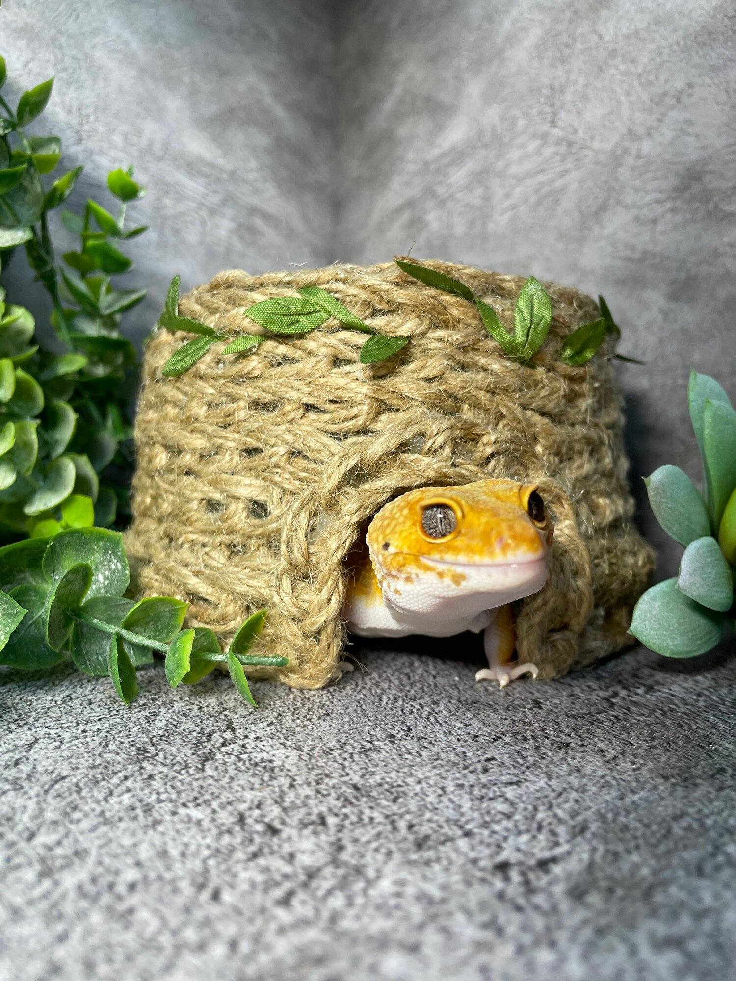 Укрытие для рептилий Феечкин домик для эублефара, размер М