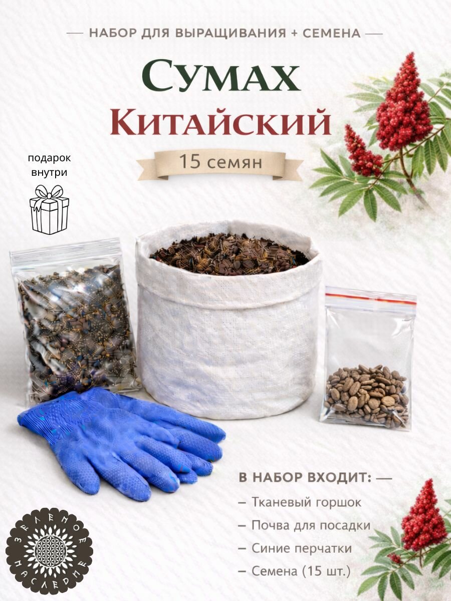 Домашний набор для выращивания Сумаха китайского / Подарок для юного садовода