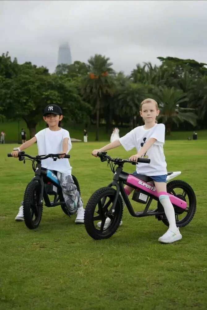 Электрический детский беговел , велосипед-толкачSweet Home-LI