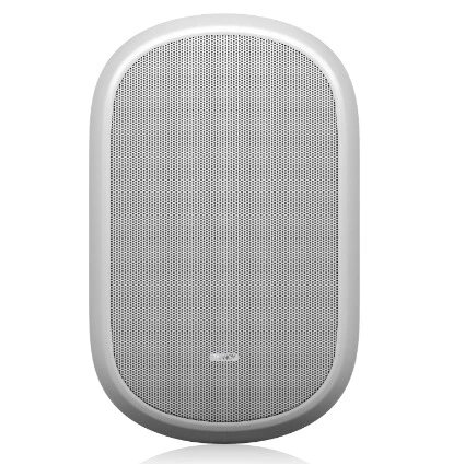 Акустика универсальная трансляционная Tannoy DVS 401-WH