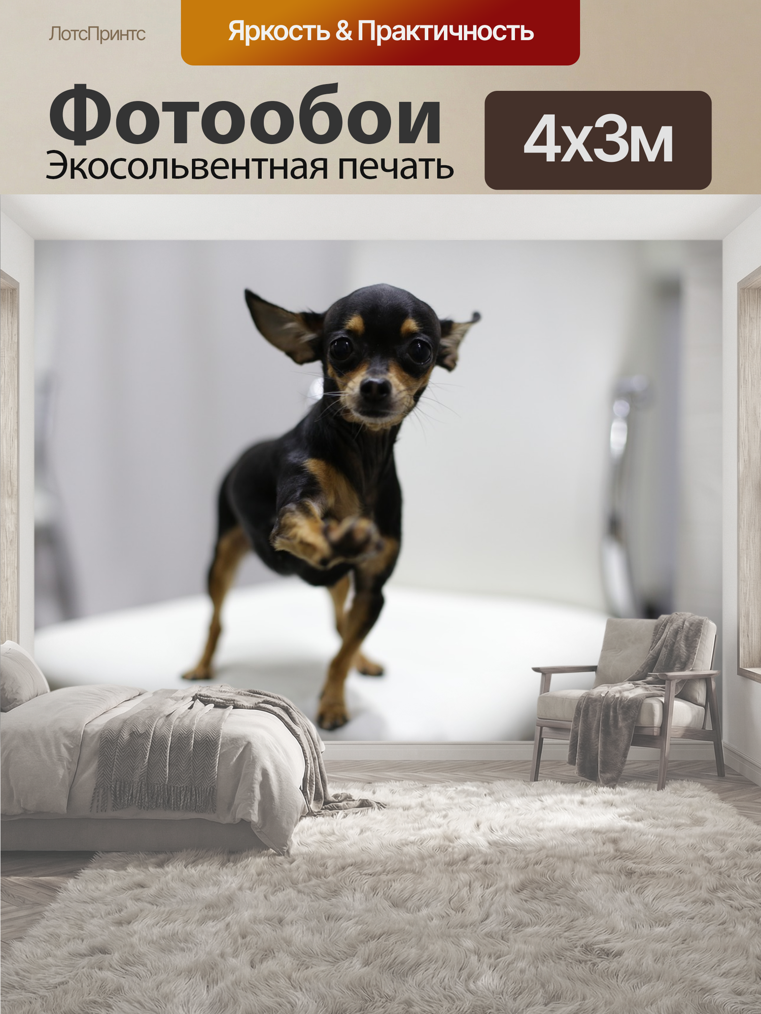 Фотообои "Собака, той-терьер, домашние питомцы" 400x300 см. экосольвентная печать