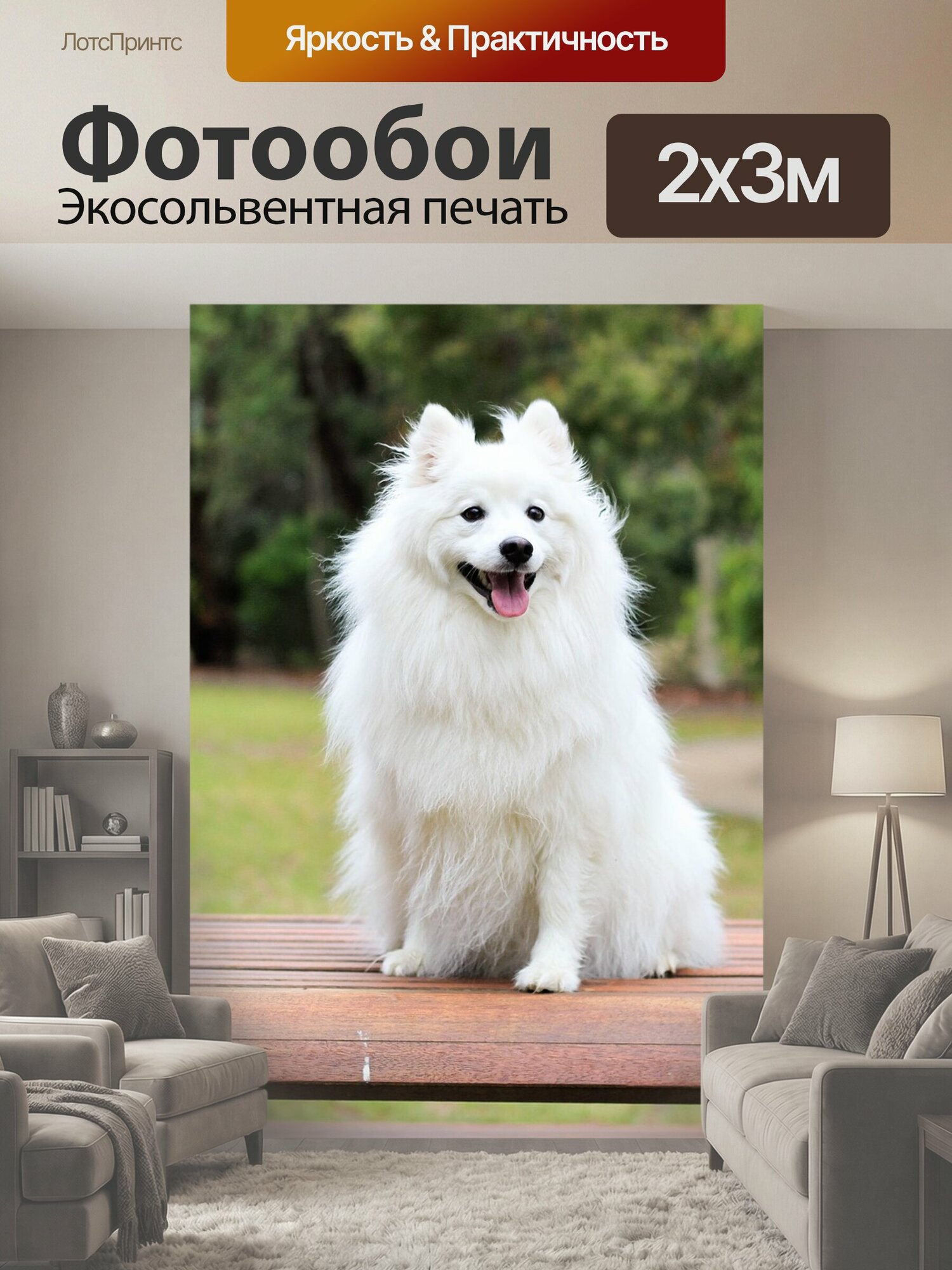 Фотообои "Собака, щенок, шпиц" 200x300 см. экосольвентная печать