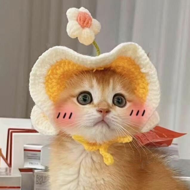 Шляпа для украшения домашних животных