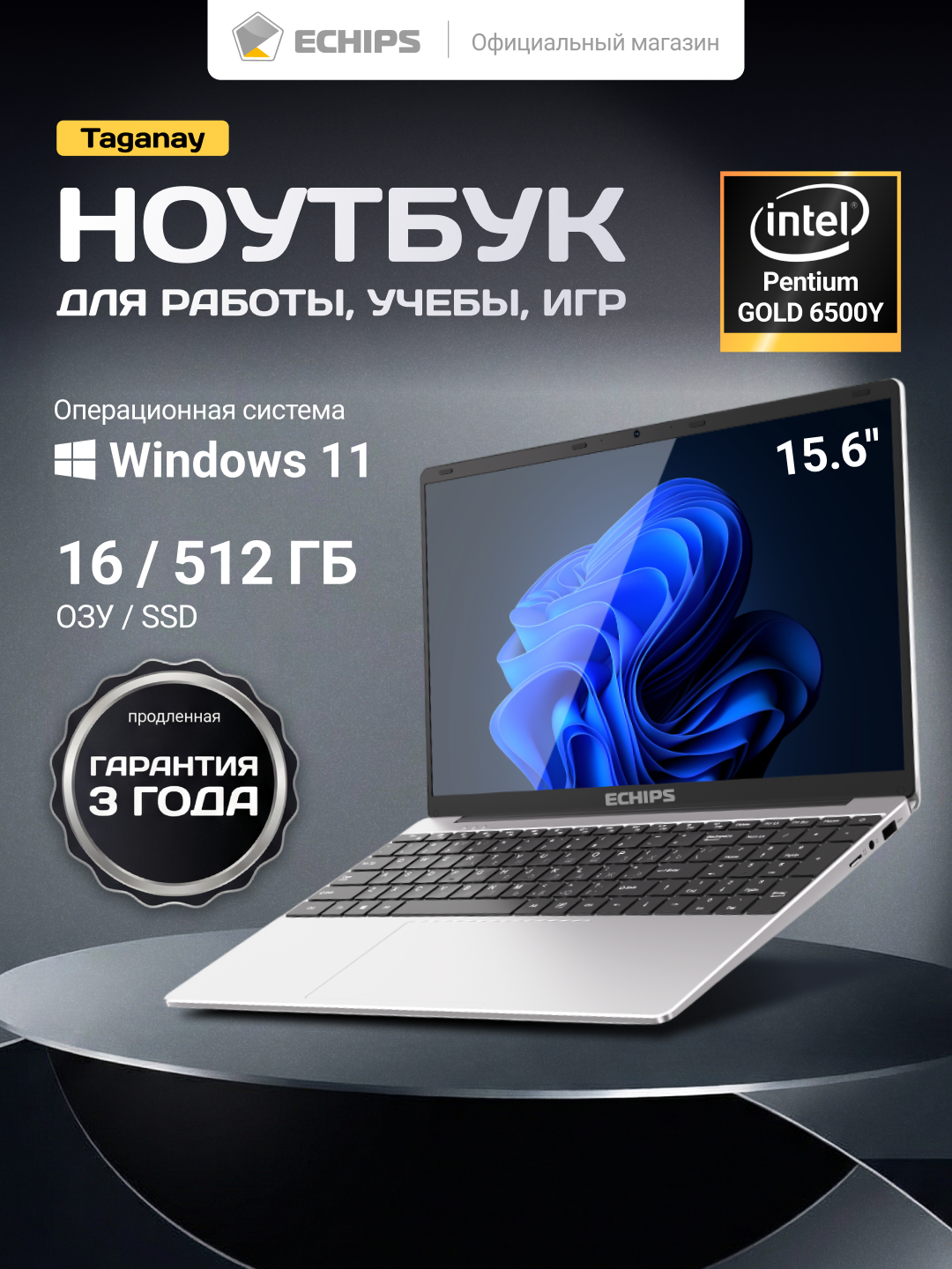 15.6" Ноутбук ECHIPS Taganay Intel Pentium GOLD 6500Y, 2 ядра, 16/512 ГБ SSD, IPS 1920Х1080, Intel UHD Graphics, Win 11