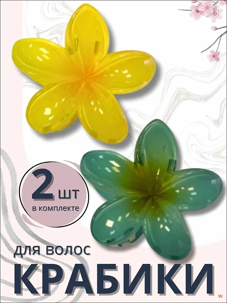 Заколка для волос 2 шт.