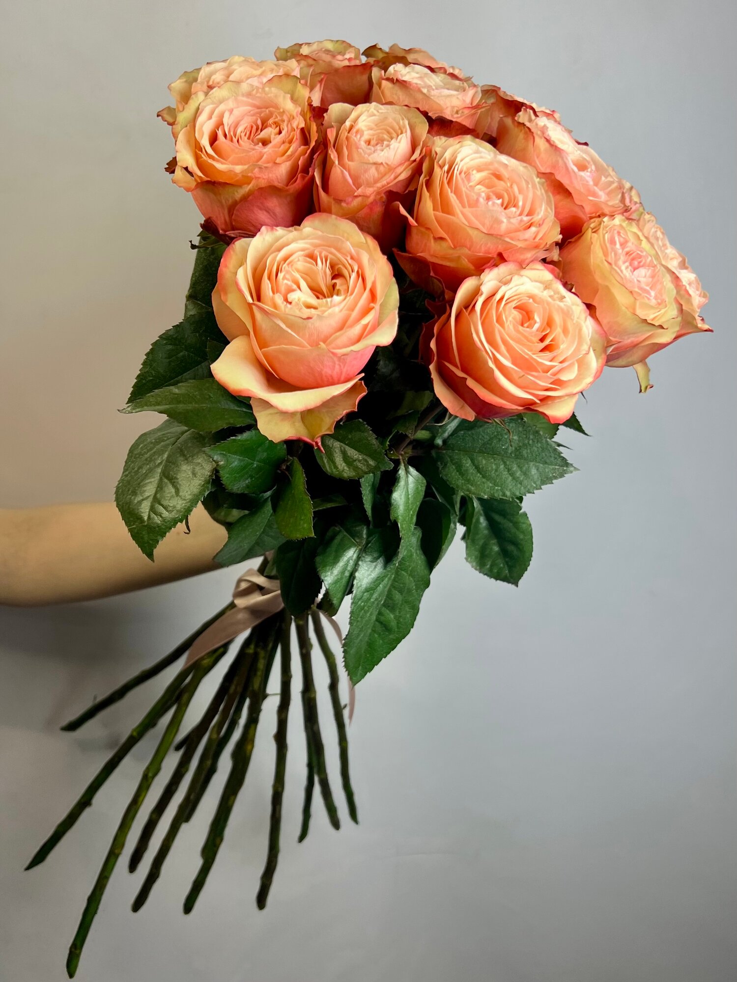 Яркий и романтичный монобукет из 15 пионовидных роз сорта Кахала в персиковом оттенке