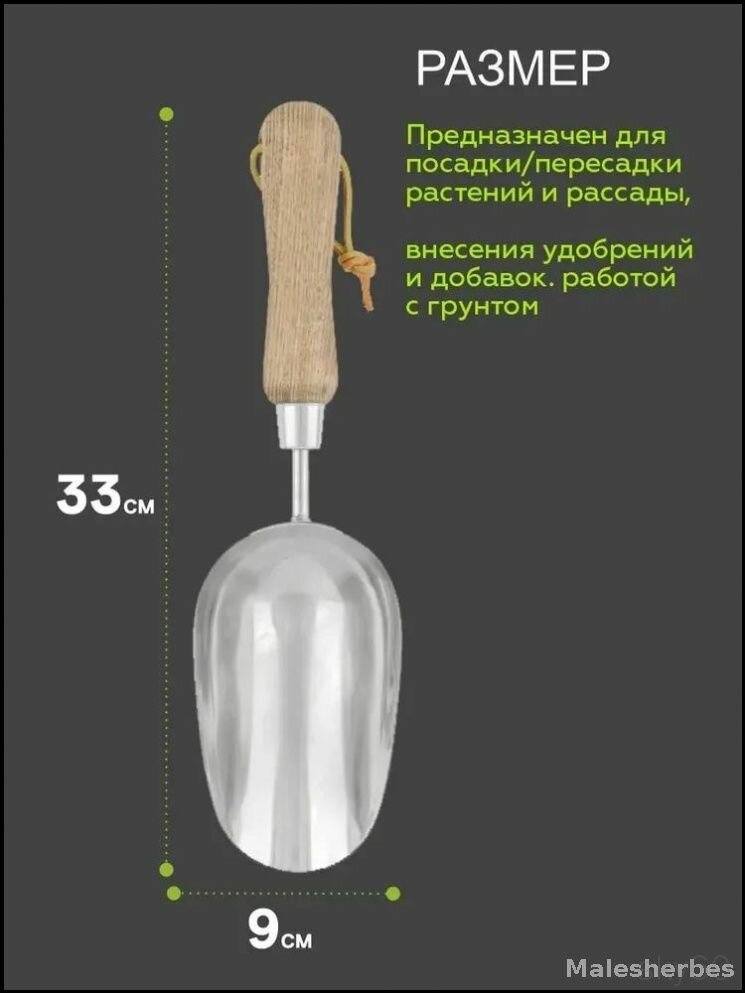 Совок посадочный OLOV Эколайн с деревянной рукояткой и премиальным стальным корпусом глубокой модели
