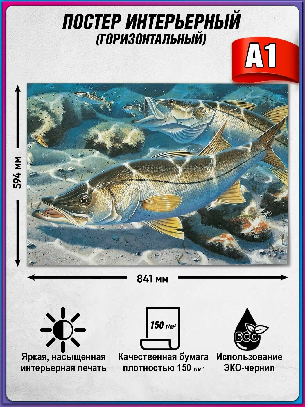 Постер интерьерный "Снук на День рыбака / А-1 (84x60 см.)