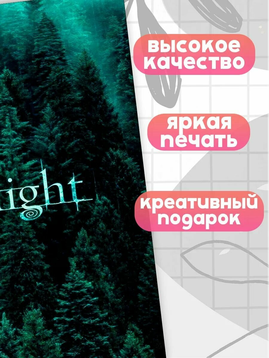 Постер на стену Сумерки , плакат 1шт, А2 размер. — фото 1