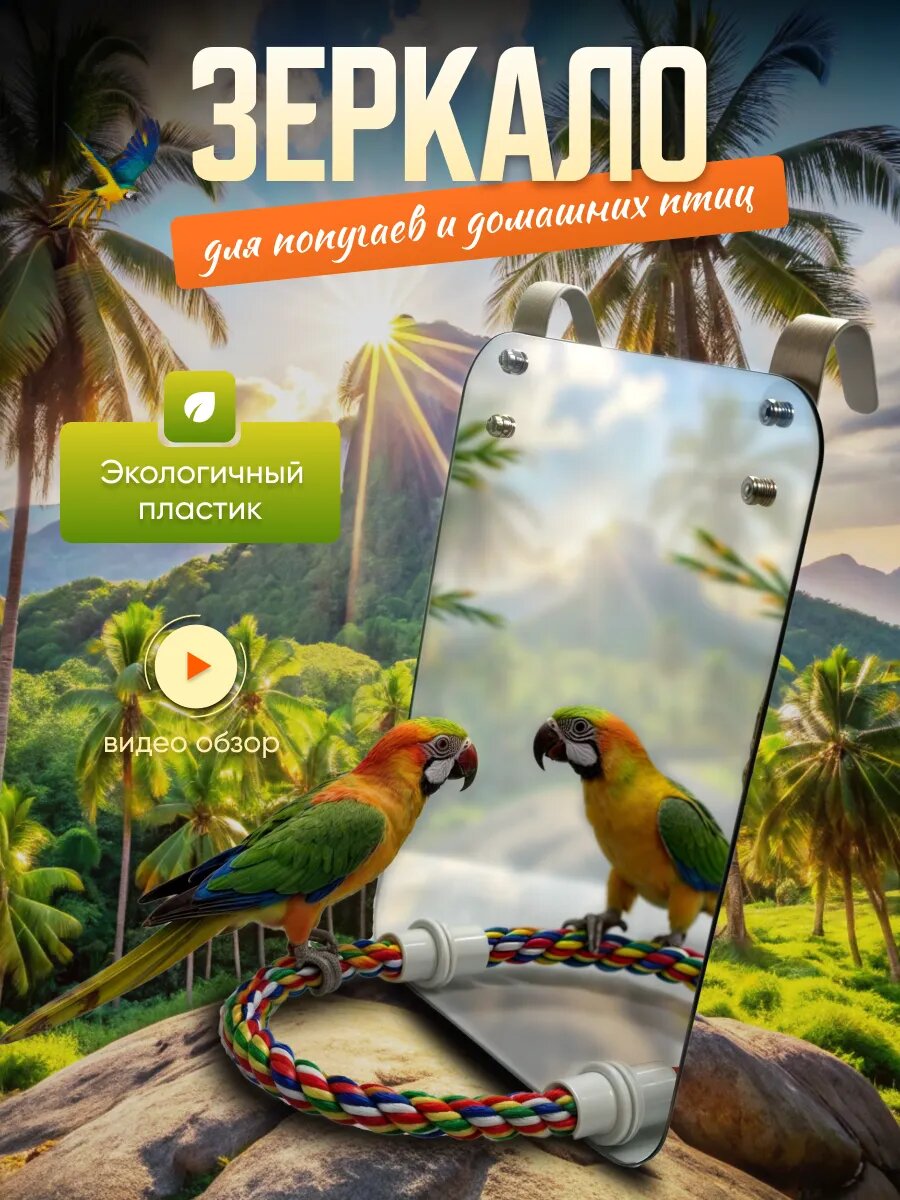 Зеркало для попугая с жёрдочкой, игрушка для птиц
