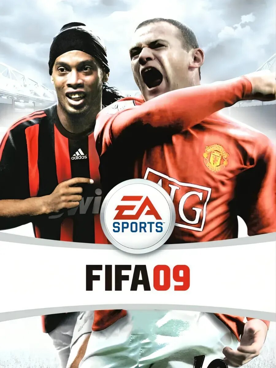 FIFA 09, игра для ПК (на флешке USB)
