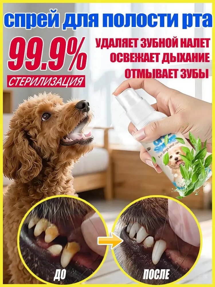 Спрей для полости рта для кошек и собак, бережная стерилизация, освежает дыхание, удаляет бактерии с зубного налета, Удаление зубного камня,30мл