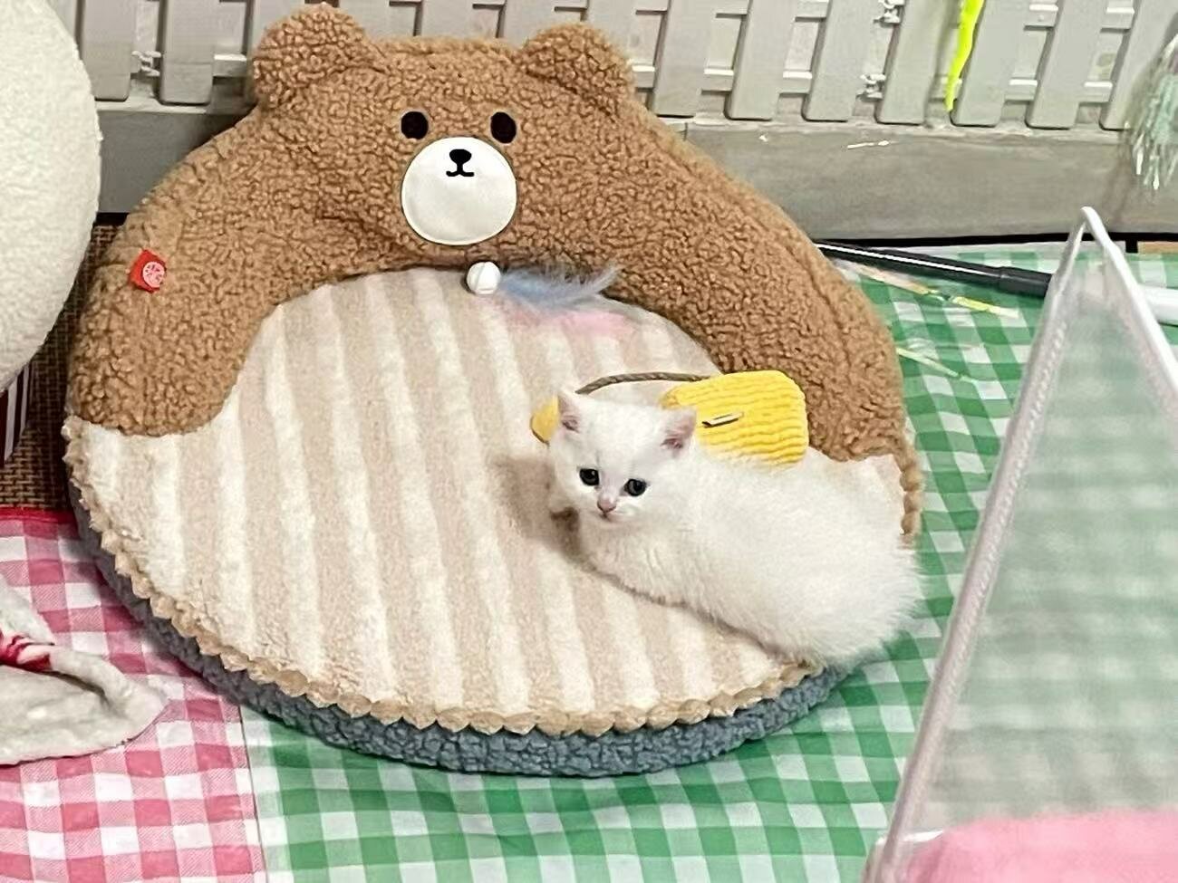 Кровать для животных, коричневая, круглый, 52х52х22 см(тёплый котёнок)