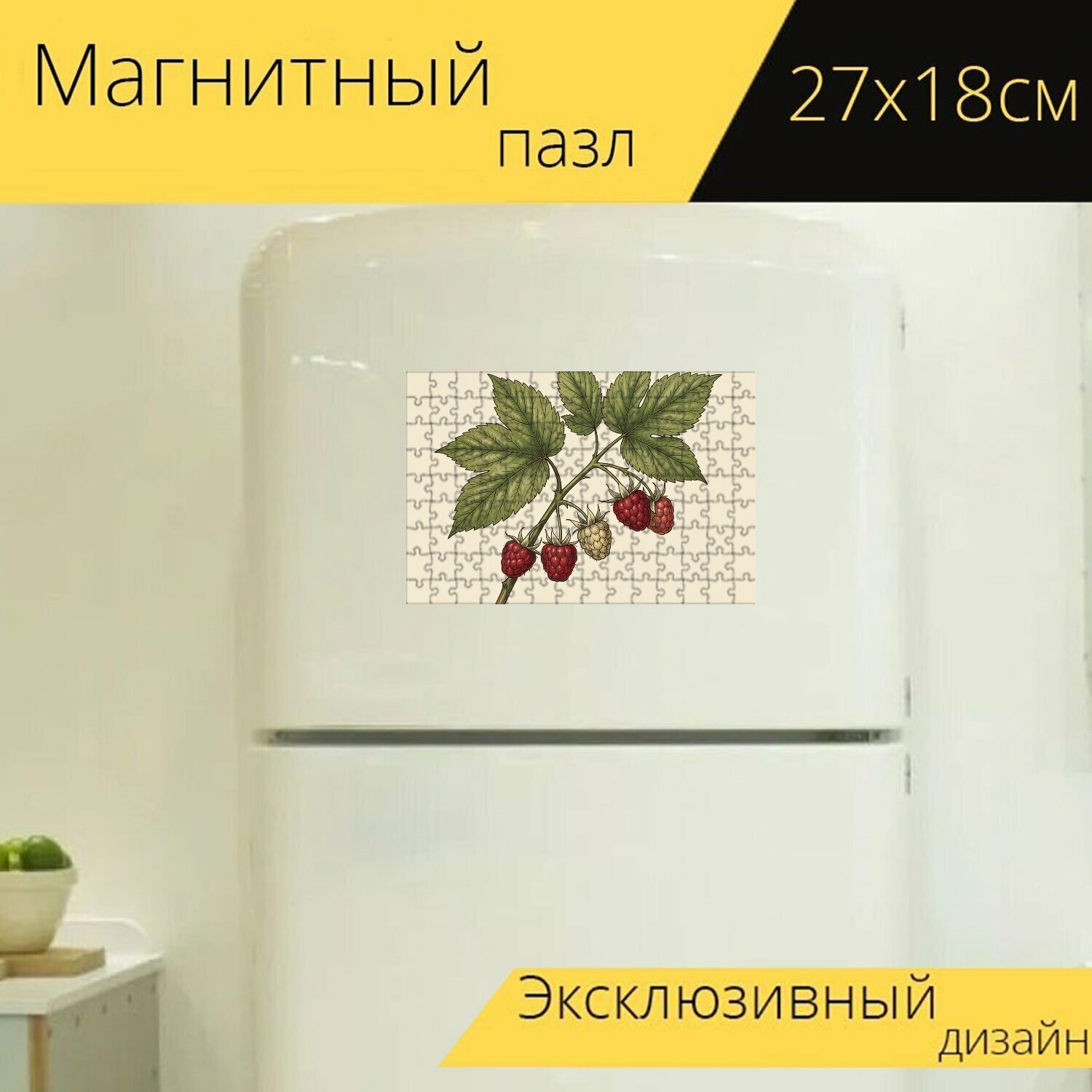 Магнитный пазл "Ветвь малины с ягодами. Ботаническая иллюстрация веточки с резными зелёными листьями и спелыми, недозрелыми ягодами в красных и светлых." на холодильник 27 x 18 см.