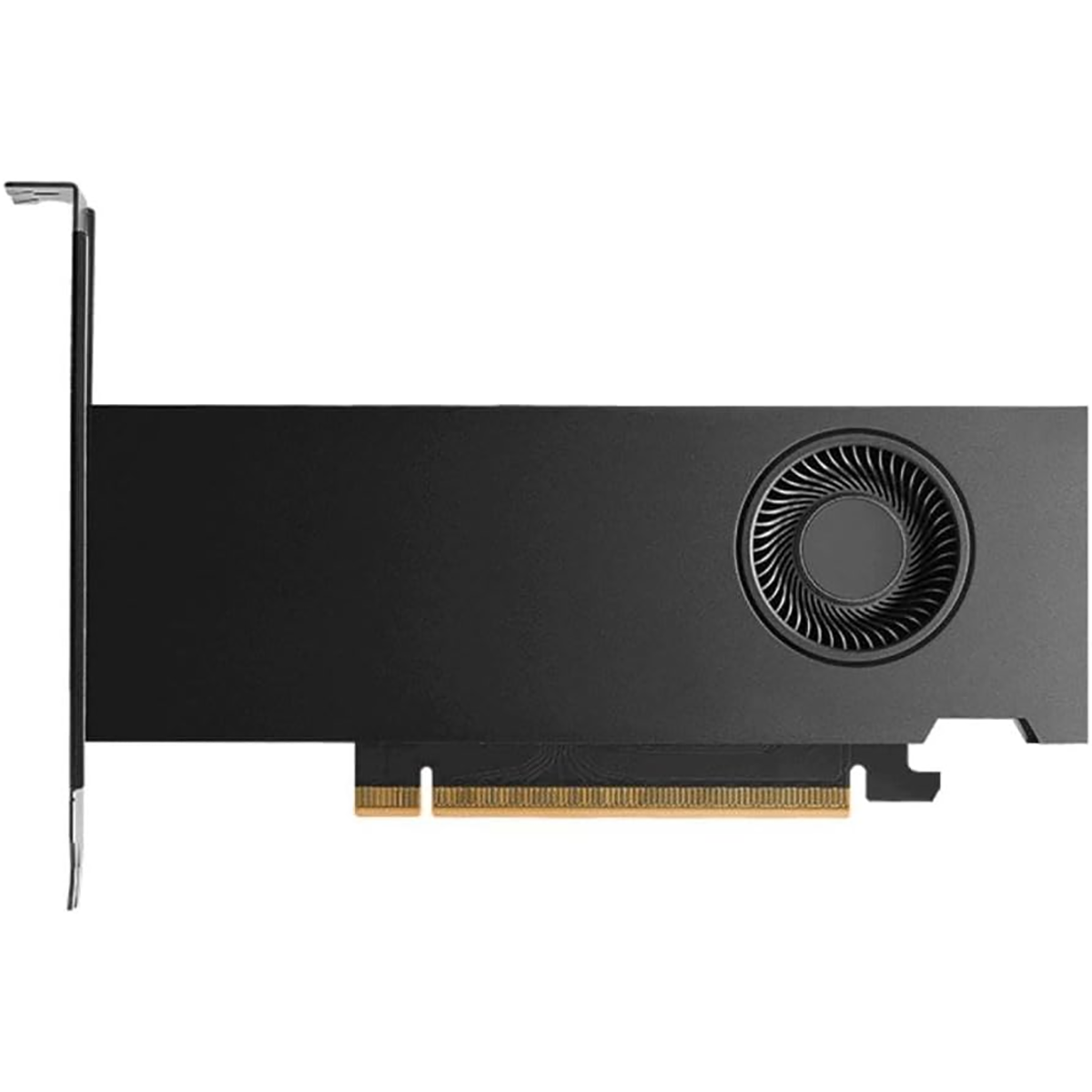 NVIDIA RTX PRO 2000 Blackwell 16GB GDDR7 PCIe 5.0x8, 4 x Mini DisplayPort видеокарты