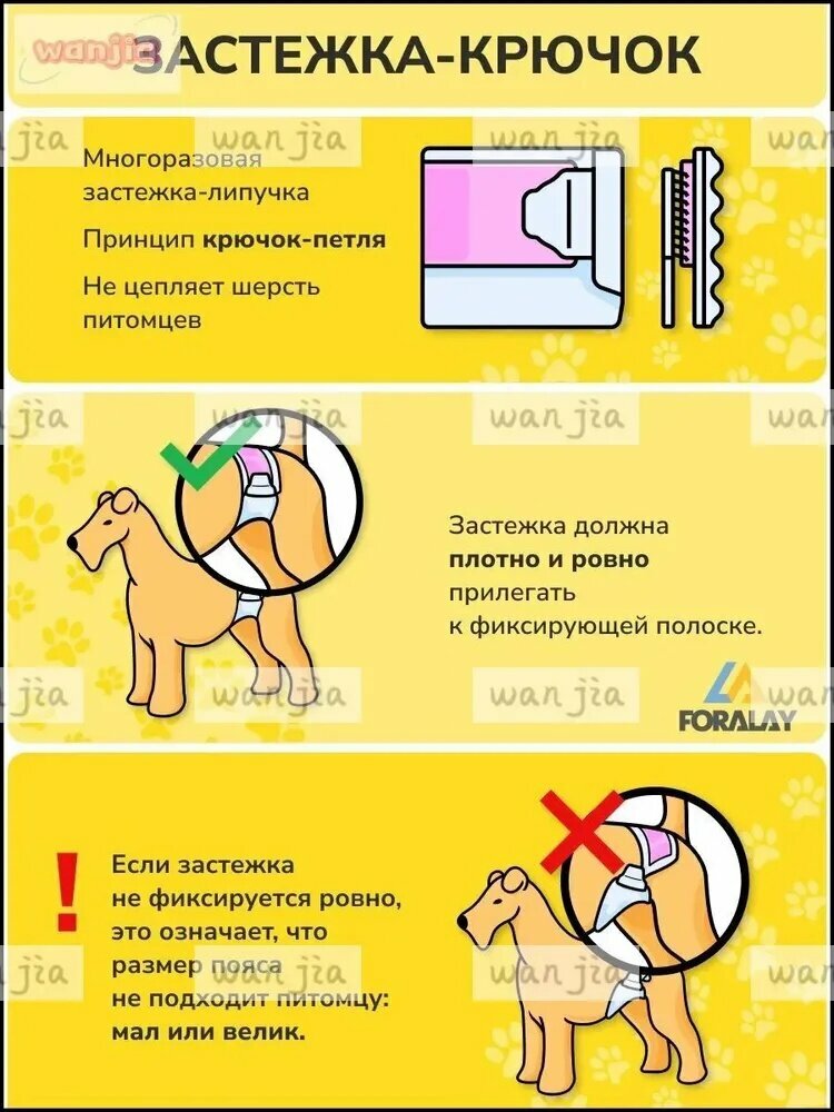 Пояс для кобелей — фото 1