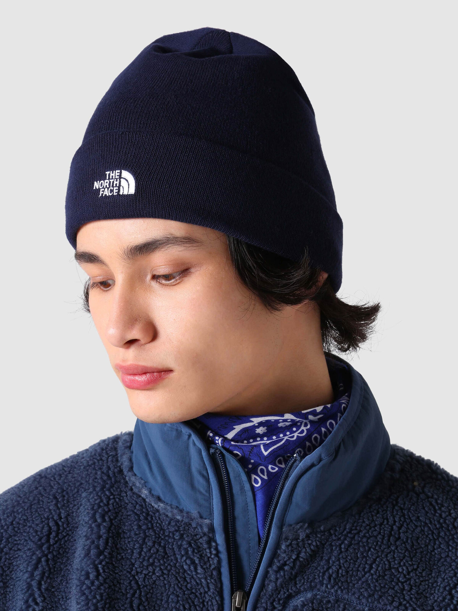 Шапка-бини The North Face Norm Beanie для взрослых и детей, размер OneSize, темно-синий — фото 1