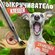 Удалитель клещей металлический
