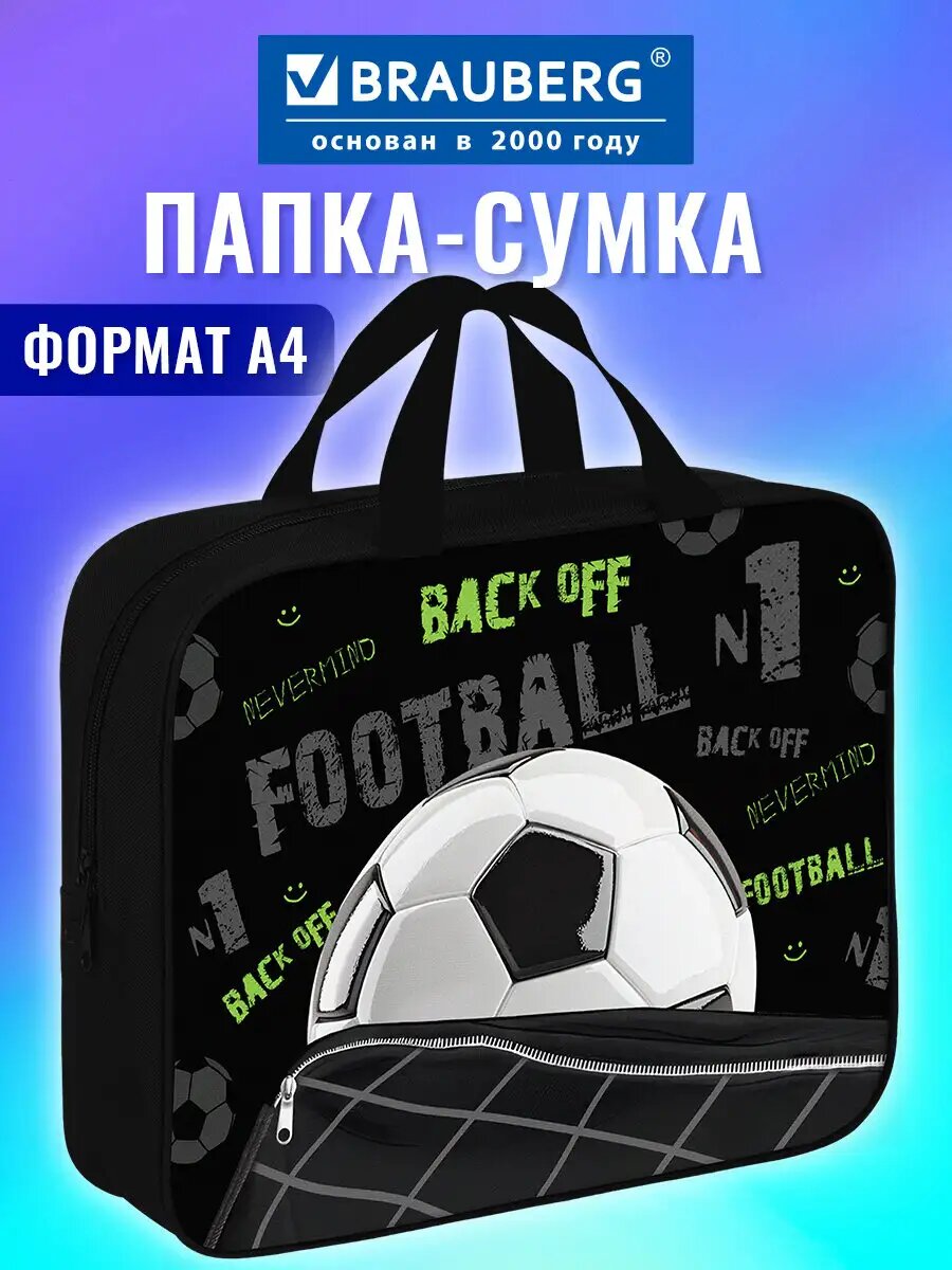 Папка сумка для тетрадей, труда, рисования и изо А4 для мальчика на молнии с ручками для школы, Brauberg, 274511