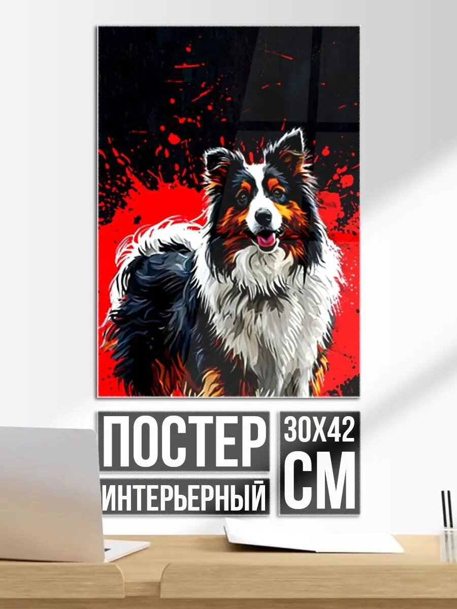 Постер на стену Колли на черным с красным
