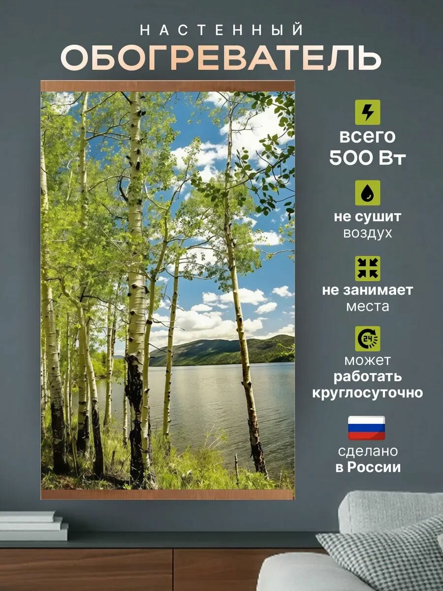 Инфракрасный обогреватель настенный электрический для дома. Картина Березы