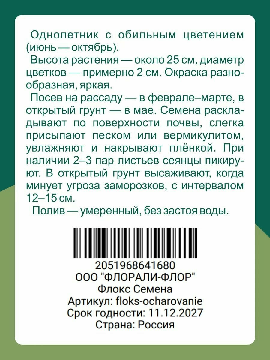 Флокс Семена — фото 1