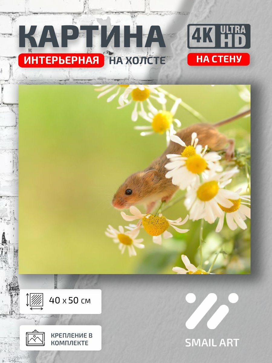 Картина на холсте интерьерная 40 на 50 на стену Полевая Landscape для кафе пейзаж интерьер