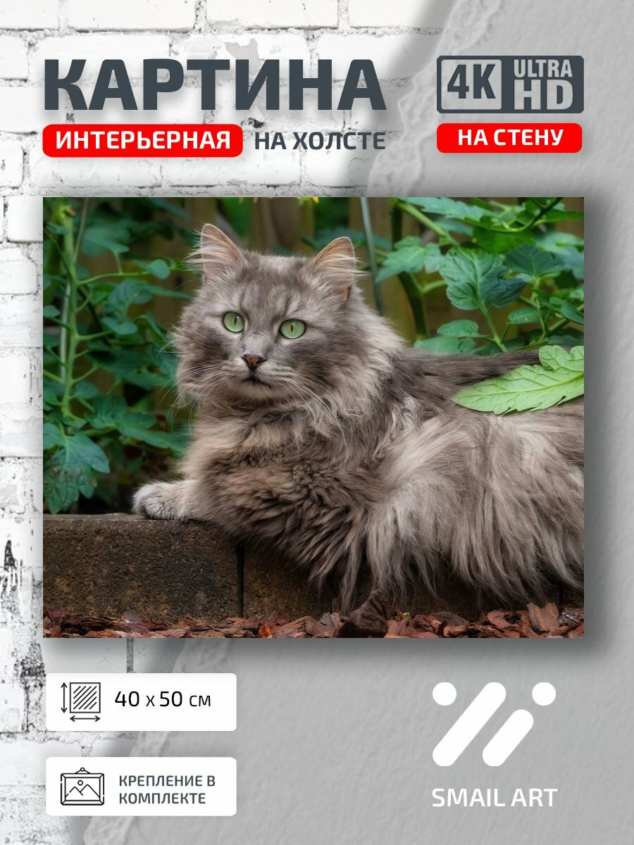 Картина на холсте интерьерная 40 на 50 на стену Бордюр Animal для кафе animal style декор