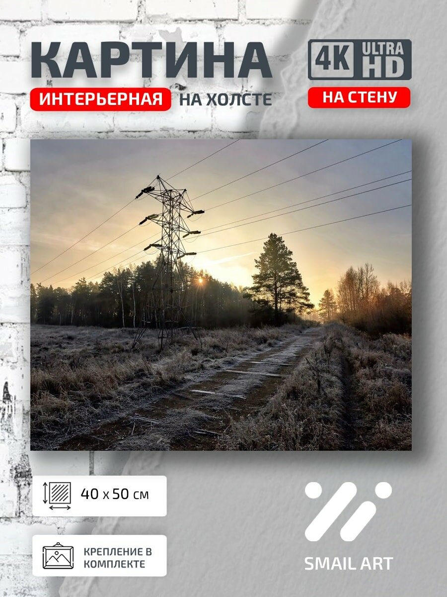 Картина на холсте интерьерная 40 на 50 на стену Природа утро для офиса пейзаж