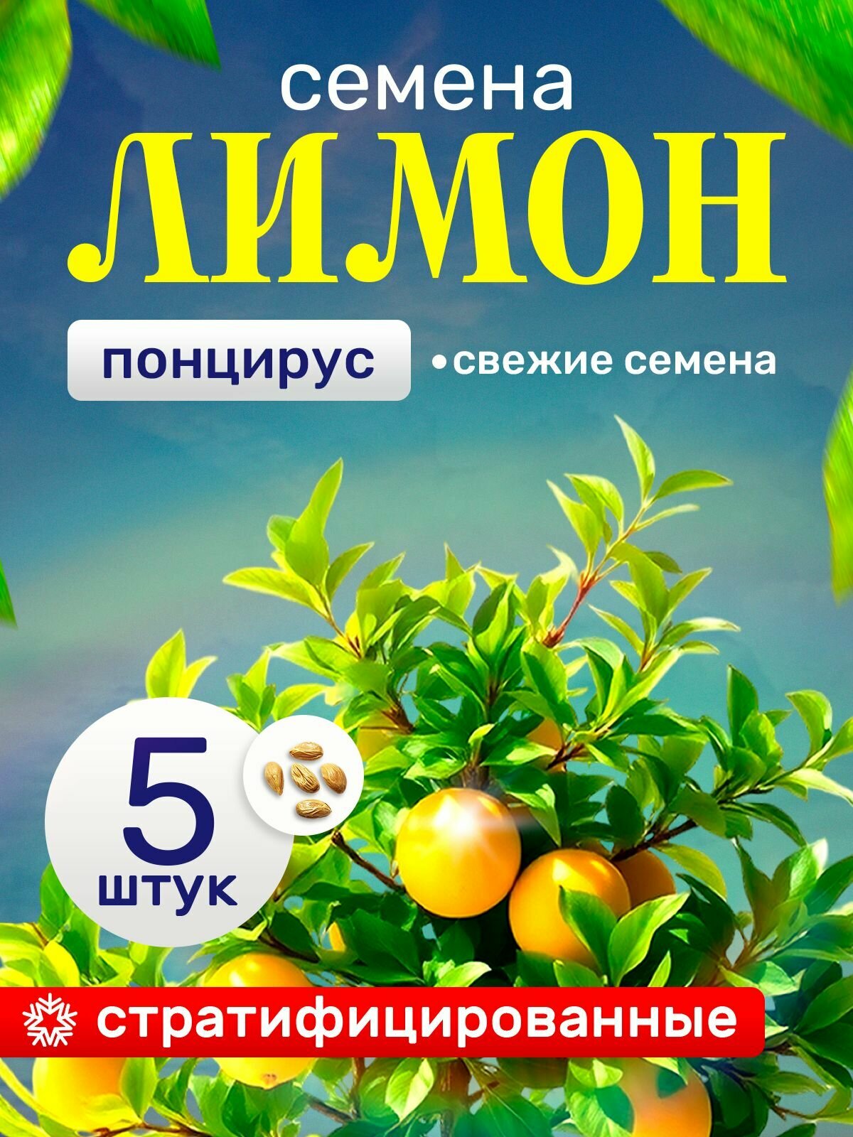 Семена лимона понцирус для выращивания