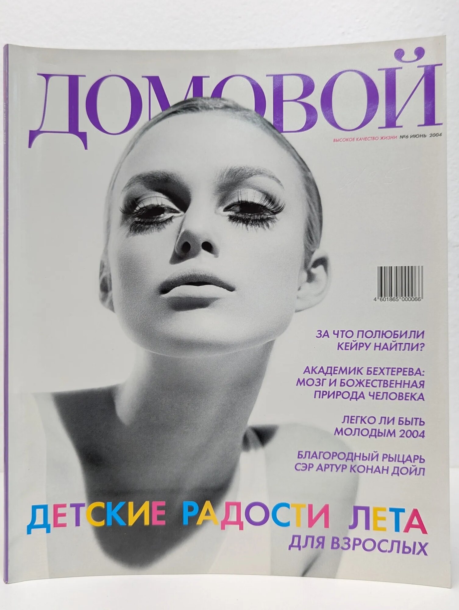 Домовой. Выпуск № 6/2004 Махненко Ксения (ред.) 2004