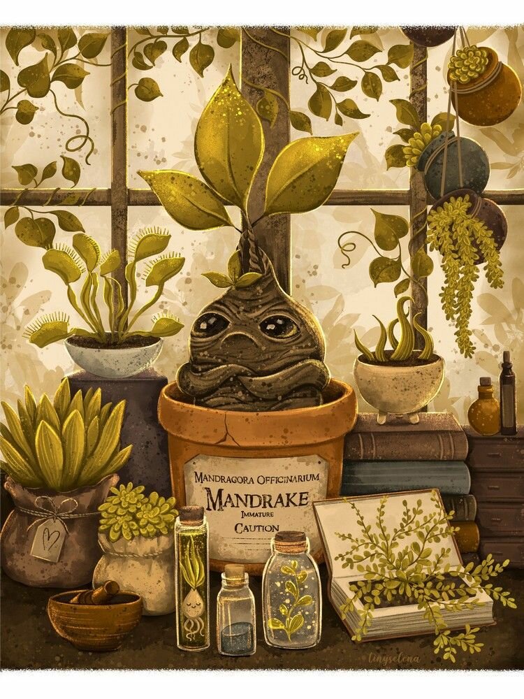 Алмазная картина "Мандраг Гарри Поттер" / Алмазная вышивка / Круглые стразы 40х50 см