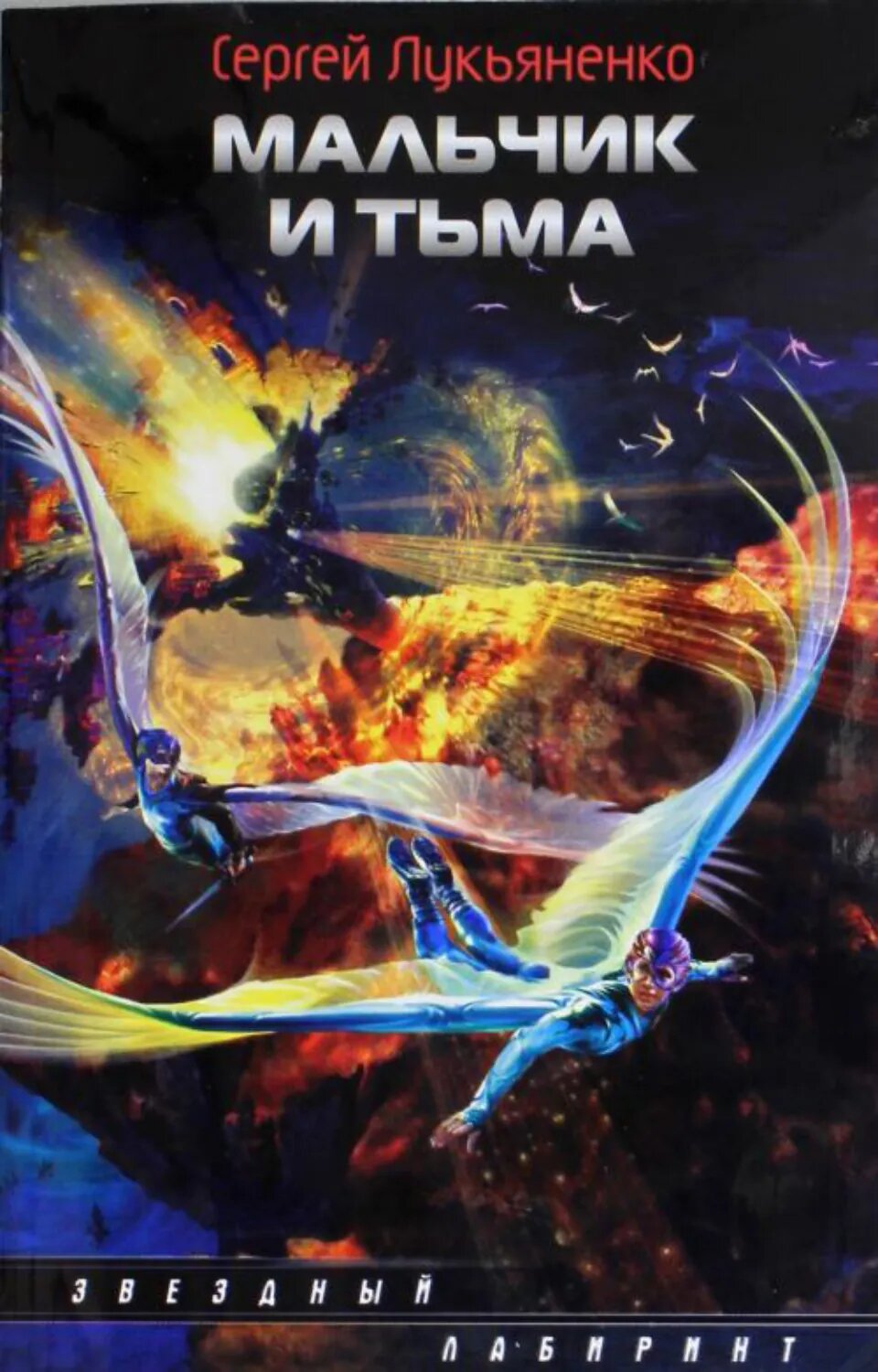 Мальчик и Тьма [Цифровая книга]