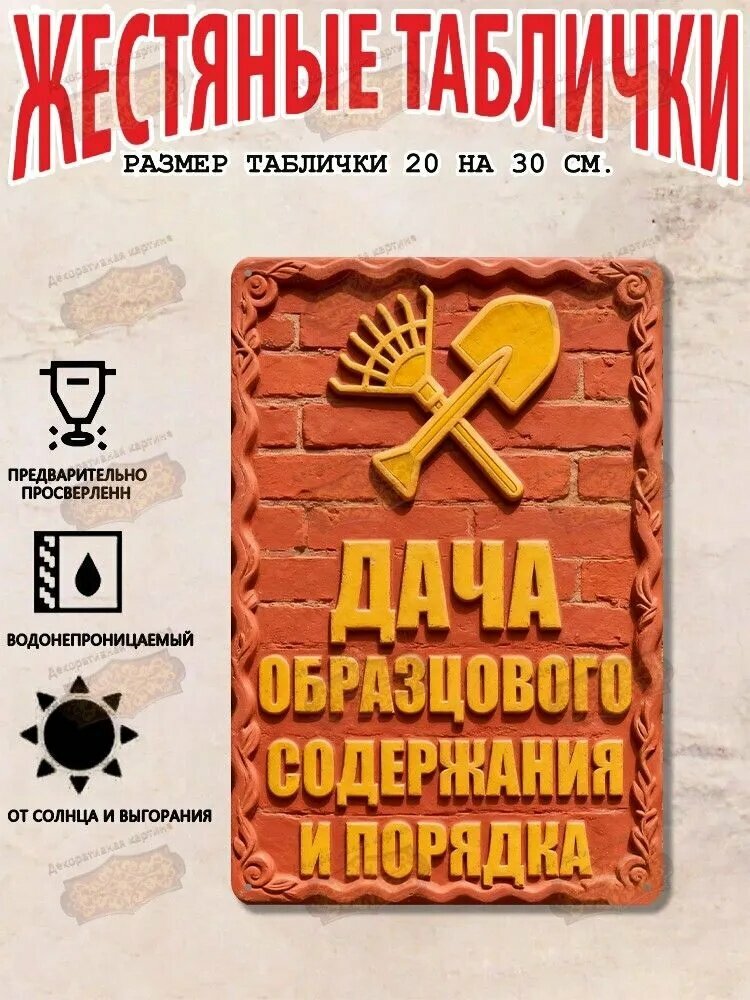 Прикольная табличка Дача образцового содержания и порядка, металл, 20х30 см.