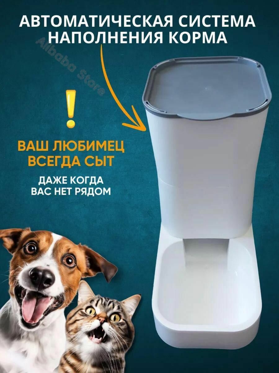 Автокормушка — фото 1