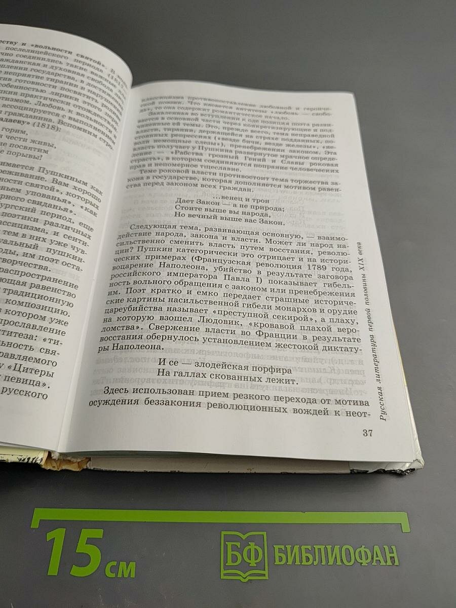 Литература 10 класс — фото 1