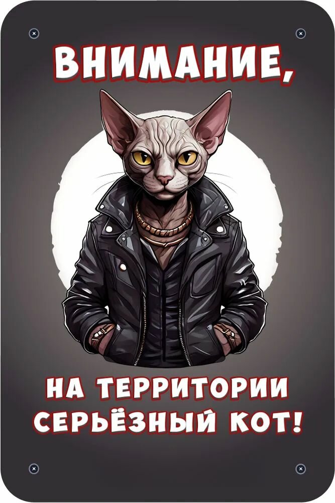 Декоративная табличка "Внимание, на территории серьёзная собака!" (Осторожно, злая собака) / размер 30х20см, Кот сфинкс