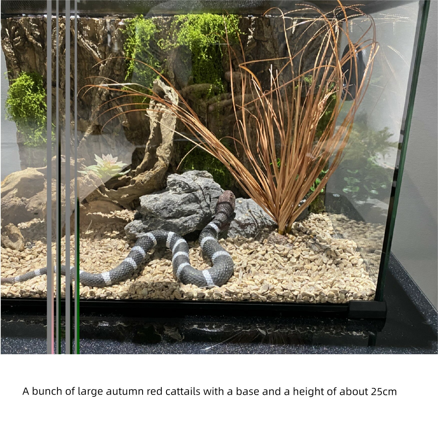 Резьба по разложенной древесине для ландшафтного дизайна террариума для рептилий, состаренная древесина для декора