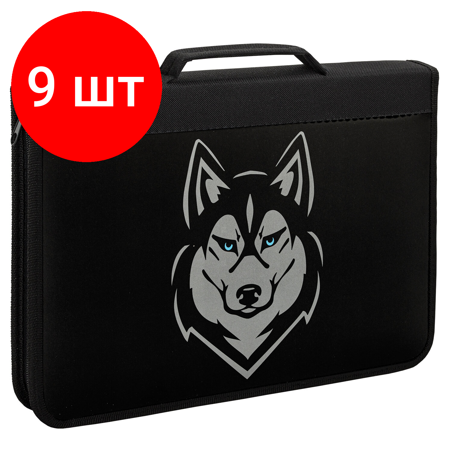 Комплект 9 шт, Папка для труда на молнии BRAUBERG А4 с ручкой, 1 отделение, органайзер, "Husky", 271450