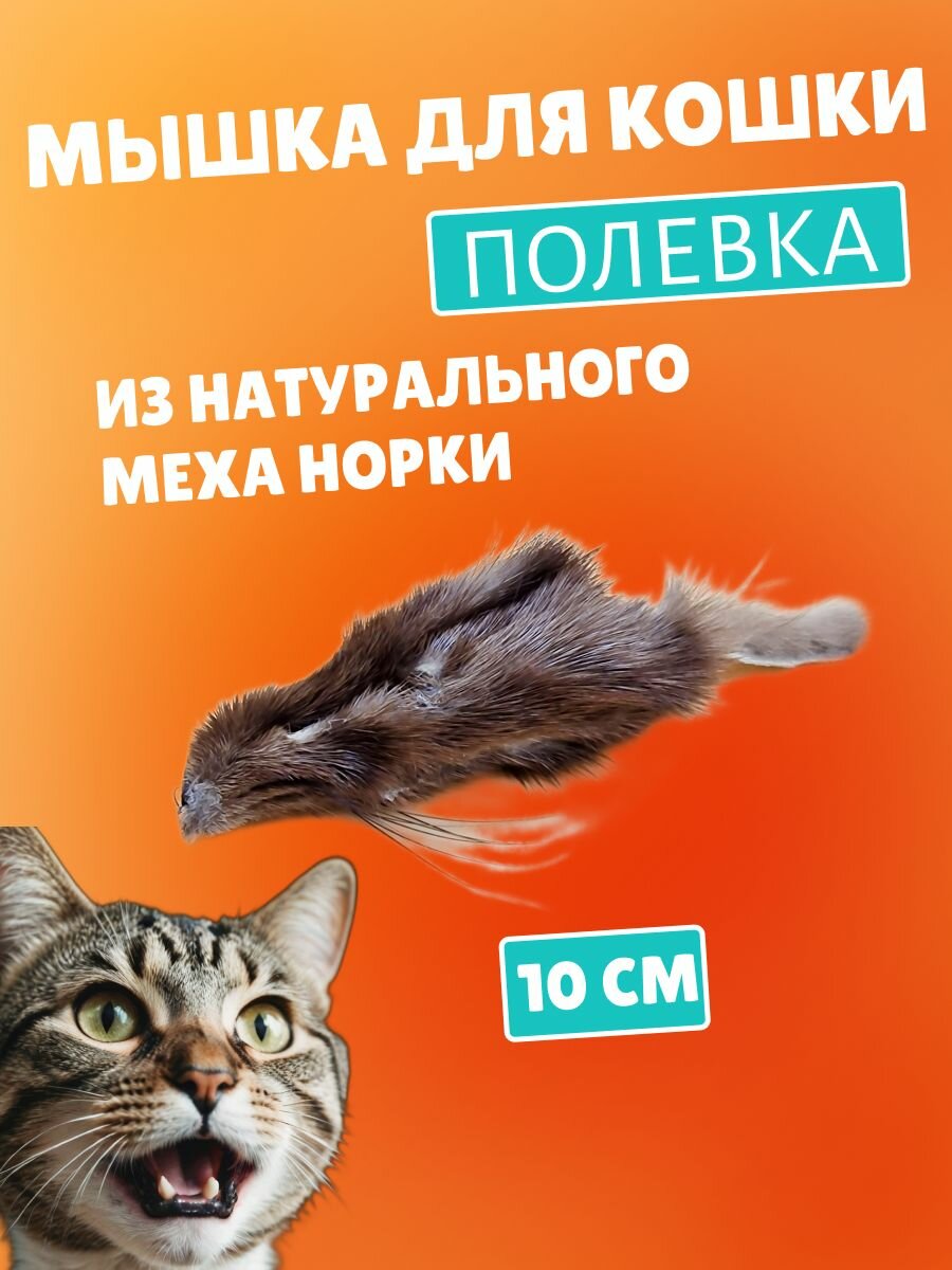 Мышка для котят из натурального меха норки/ТМ Игруля/Живой мех/Игрушка-мышка для кошки/8 см/ Меховая игрушка с погремушкой для кошек, котят и маленьких собак