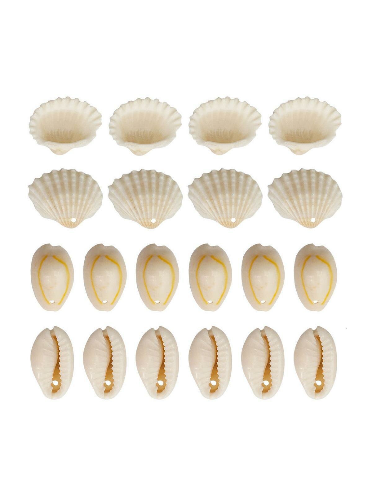Ракушки каури, набор природных бусин для творчества