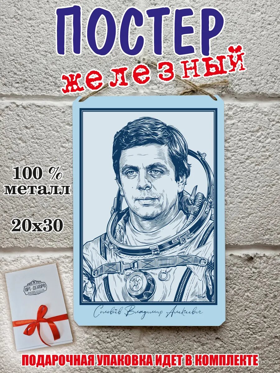 Соловьев Владимир портрет железный постер на стену