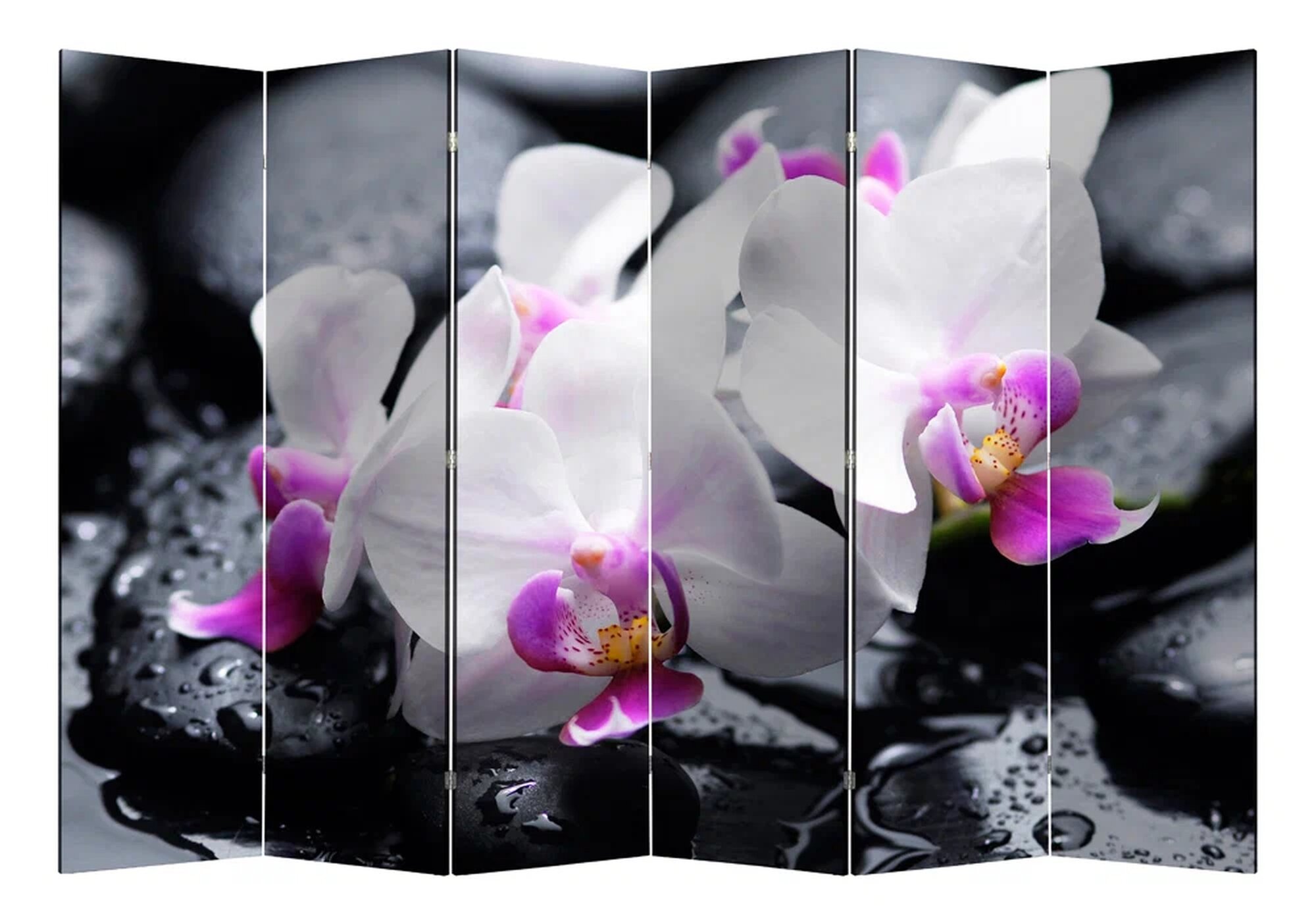 ПВХ ширма перегородка для зонирования Спа 2 - 6, размер 177х282/47 см